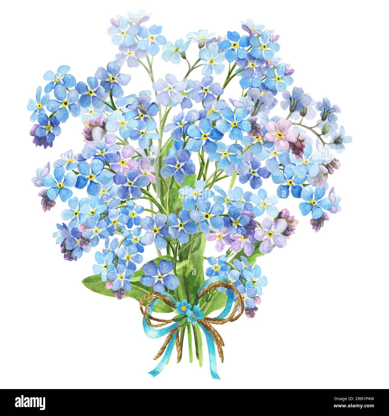 Watercolor bouquet with forget me nots, botanical illustration. Perfect ...