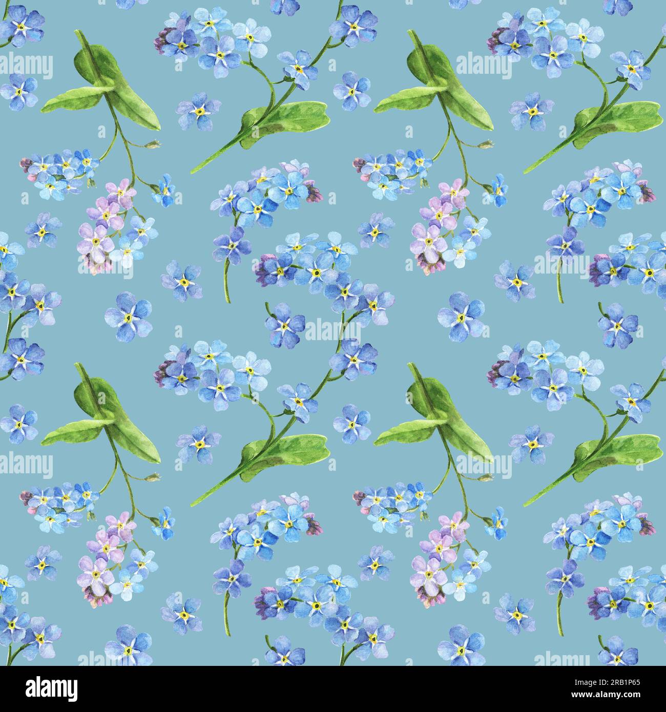 Watercolor seamless pattern with forget me nots, botanical illustration ...