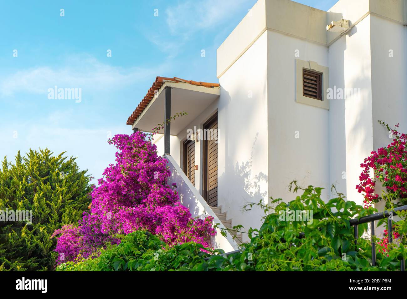Front house bush garden hi-res stock photography and images - Alamy