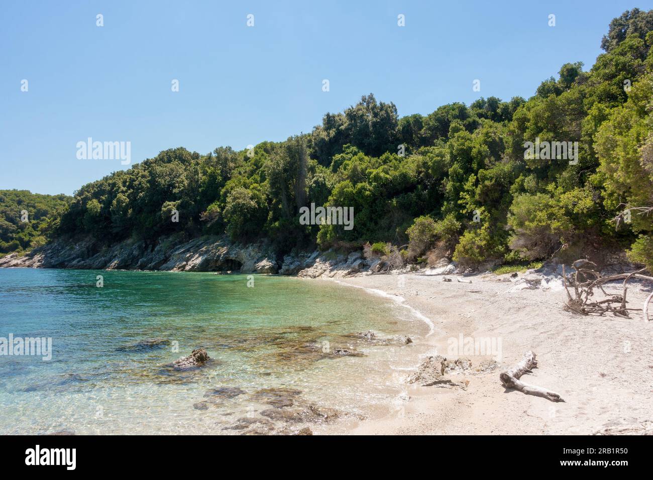 Amazing scenery by the sea in Erimitis forest, north-east Corfu, Greece ...