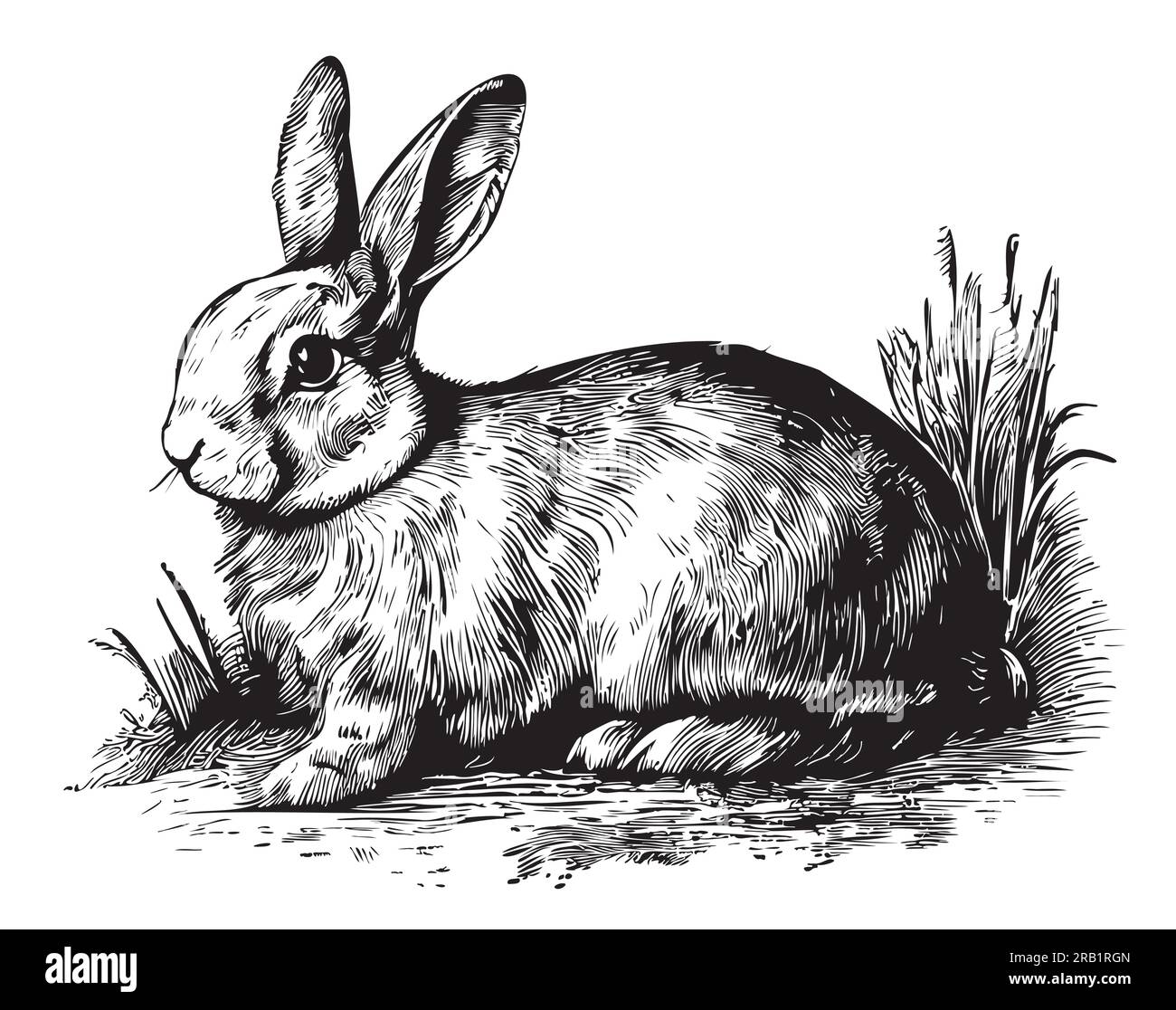Rabbit bunny sitting in the grass sketch drawn in doodle style ...