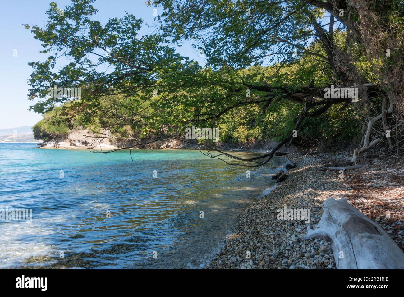 Amazing scenery by the sea in Erimitis forest, north-east Corfu, Greece ...