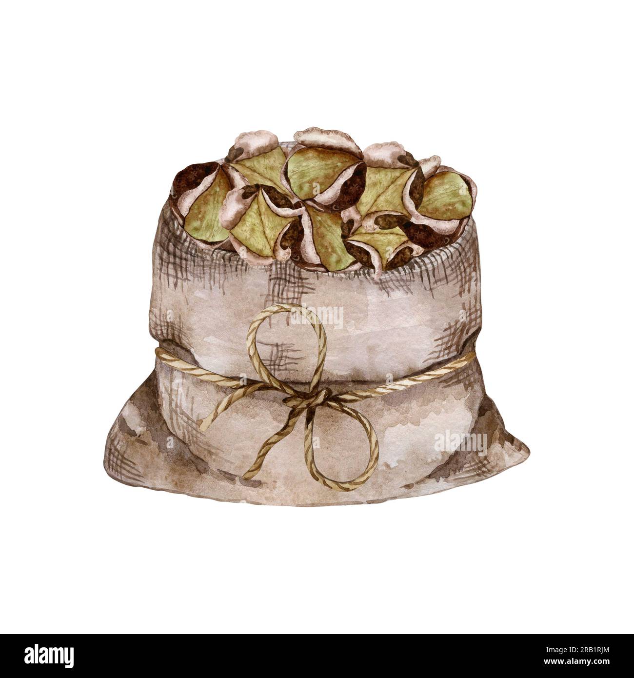 Delicious roasted chestnuts. Canvas Pouch tied with twine. Watercolor ...