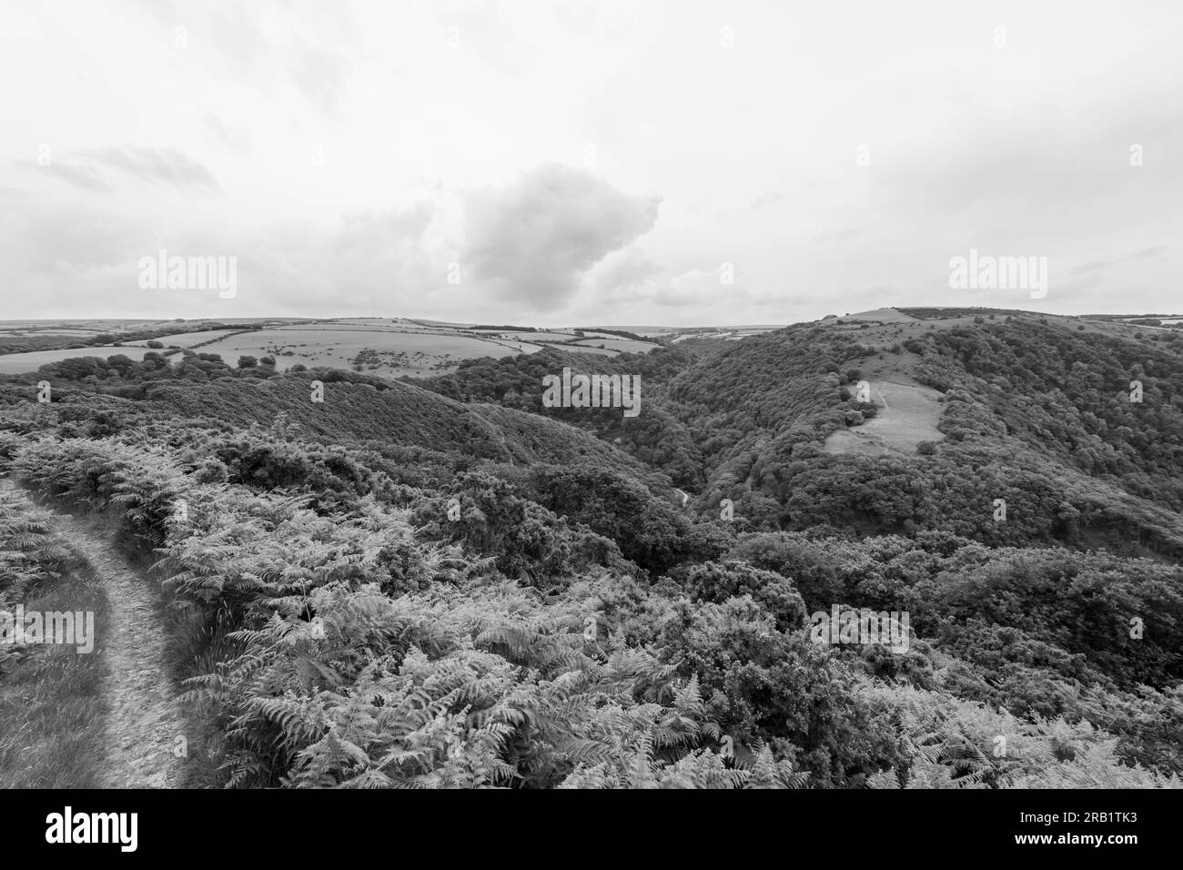 View from the top of Countisbury Hill of Watersmeet Valley in Exmoor ...