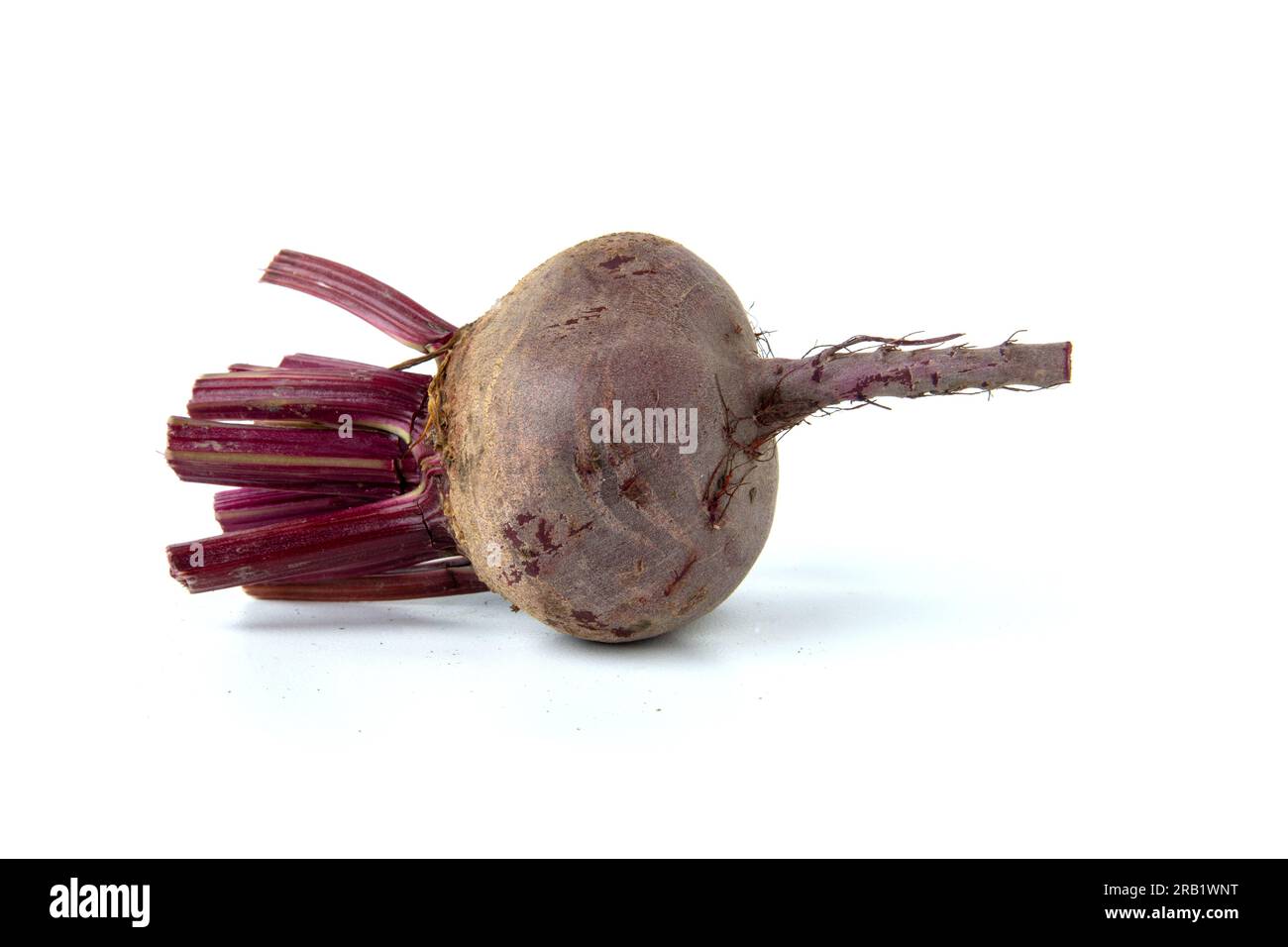 Red beetroot isolated on white Stock Photo - Alamy