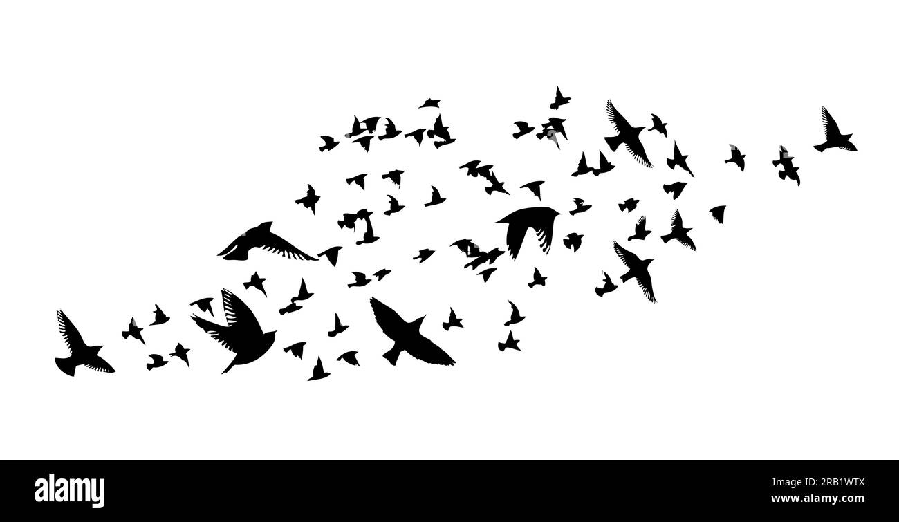 A flock of flying birds. Vector illustration Stock Vector Image & Art ...