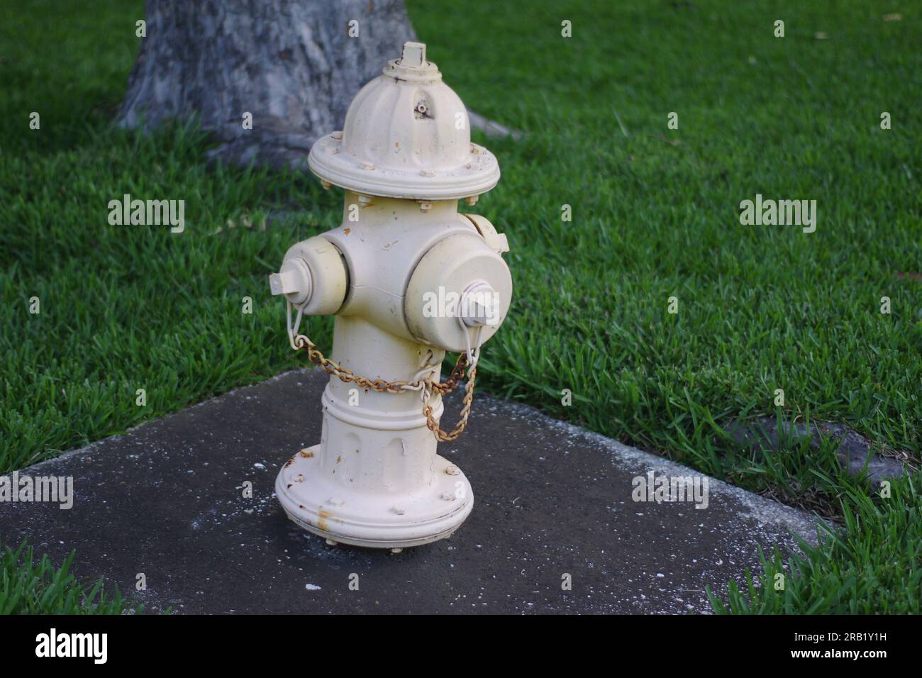 White fire hydrant hi-res stock photography and images - Alamy