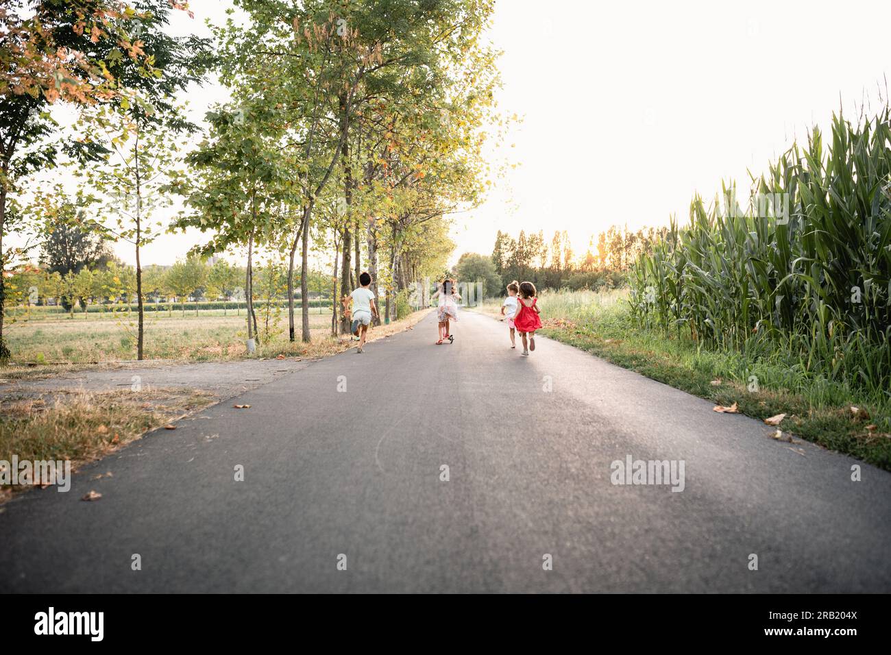 rear view of four children riding red scooter and running on a country ...