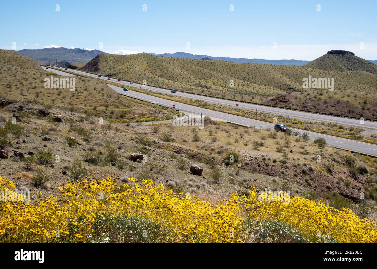 Brittlebush covers the desert along Interstate 10 just west of Phoenix ...