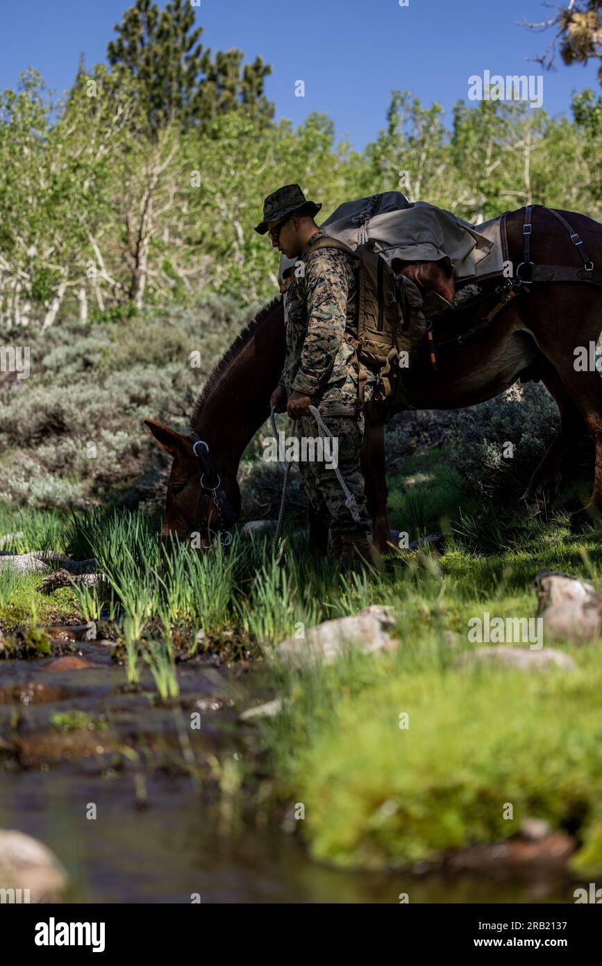 U.S. Marine Corps Cpl. Andrew Cobb, a rifleman with Fox Company, 2nd ...
