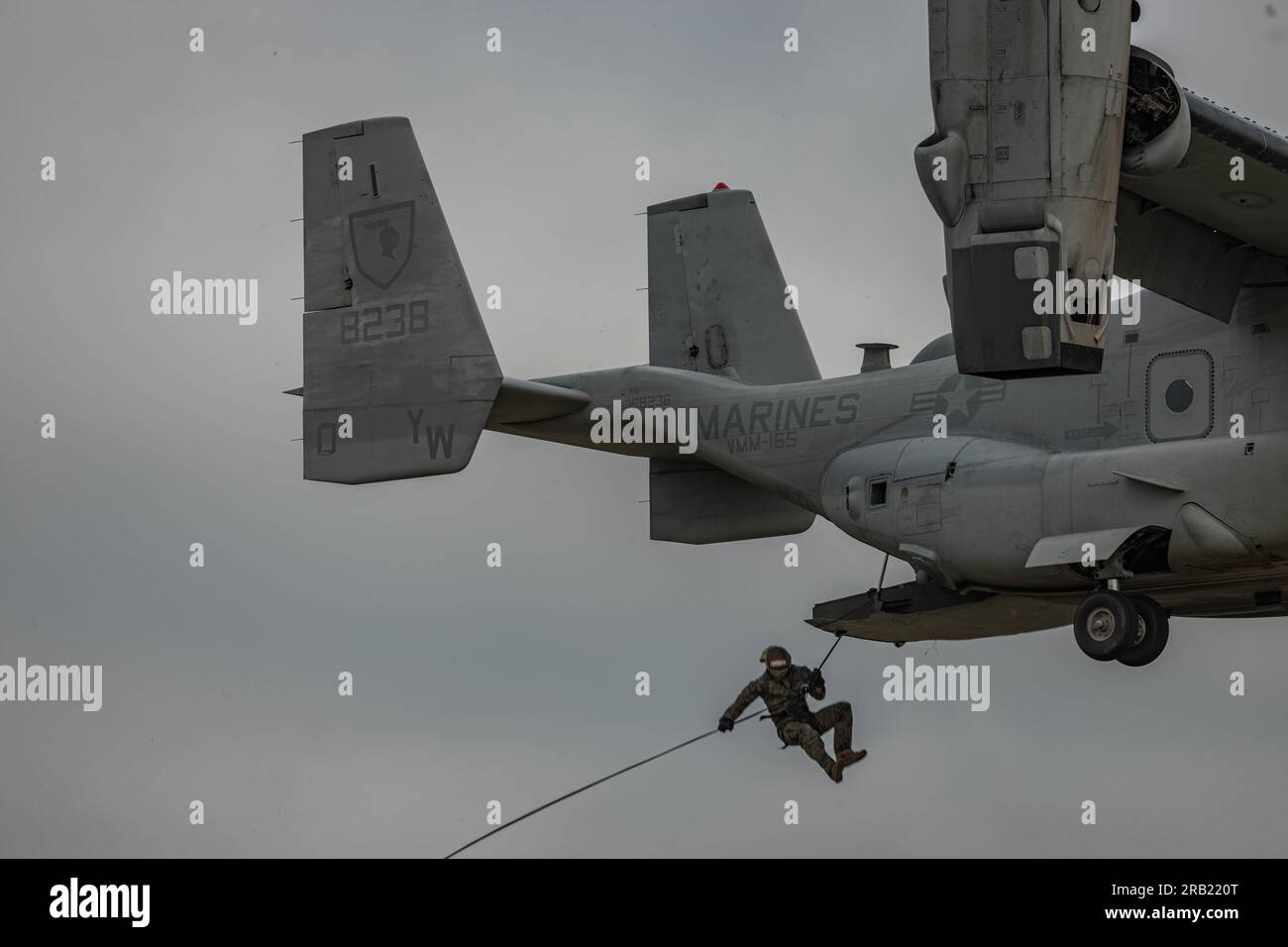 U.S. Marines with 1st Reconnaissance Battalion, 1st Marine Division ...