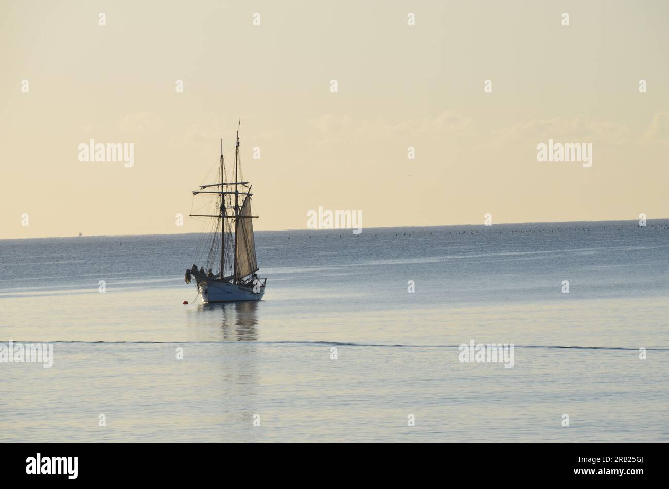 Clipper off Cornish coast Stock Photo - Alamy