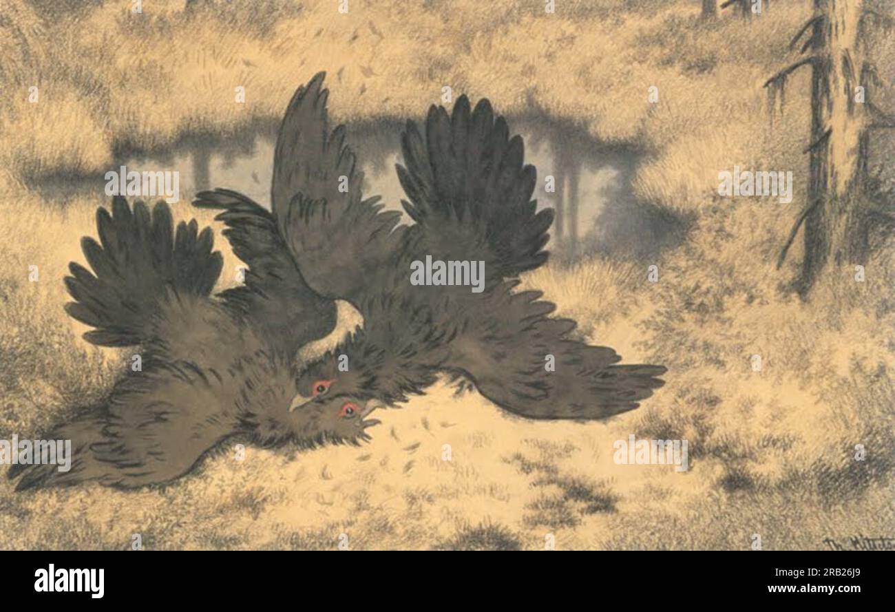 The Troll Birds go at it hammer and tongs 1900 by Theodor Severin ...