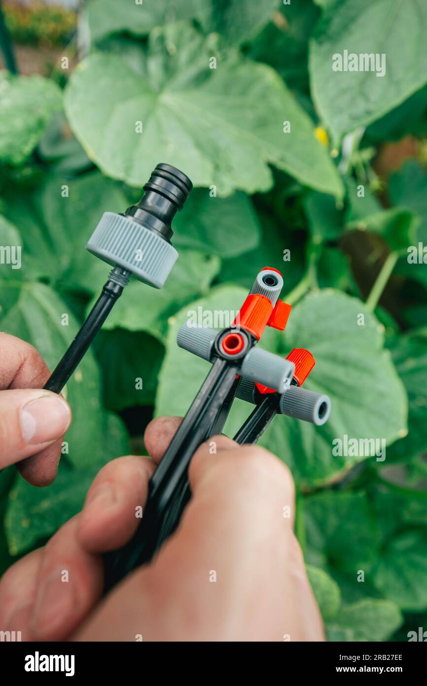 Drip irrigation.Equipment for gardens and orchards. Drip hose and ...