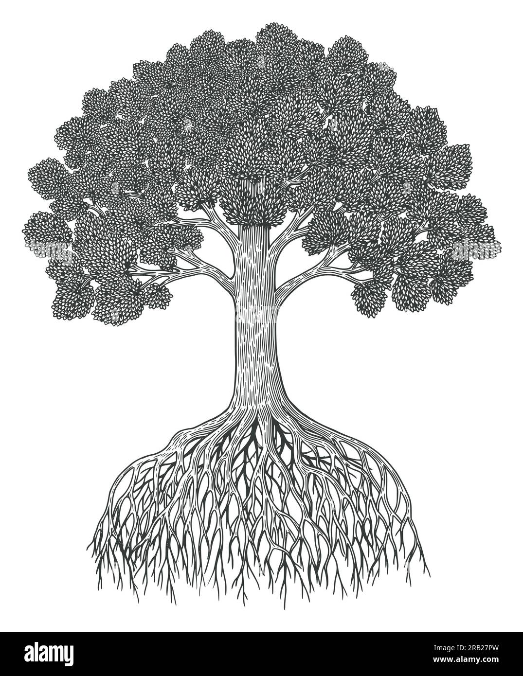 Apple Tree with engraving drawing style, vintage vector illustration ...