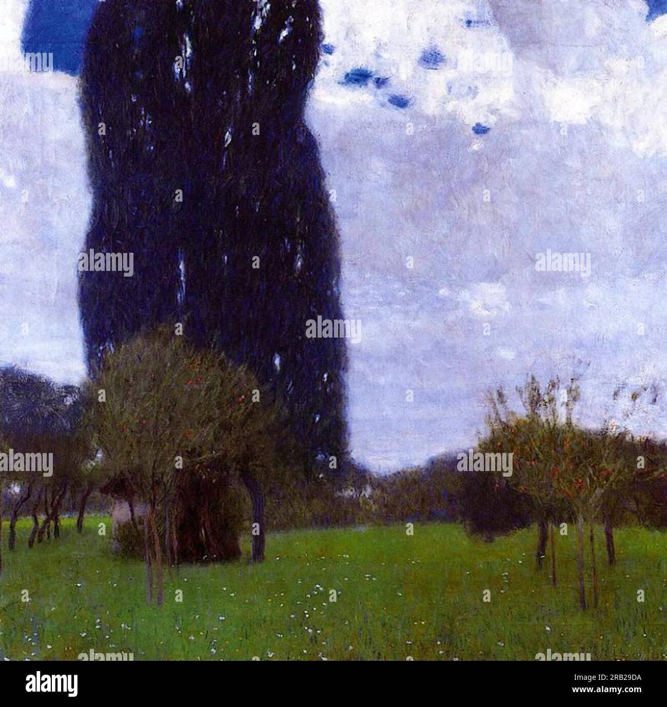 The Tall Poplar Trees II 1900 by Gustav Klimt Stock Photo - Alamy