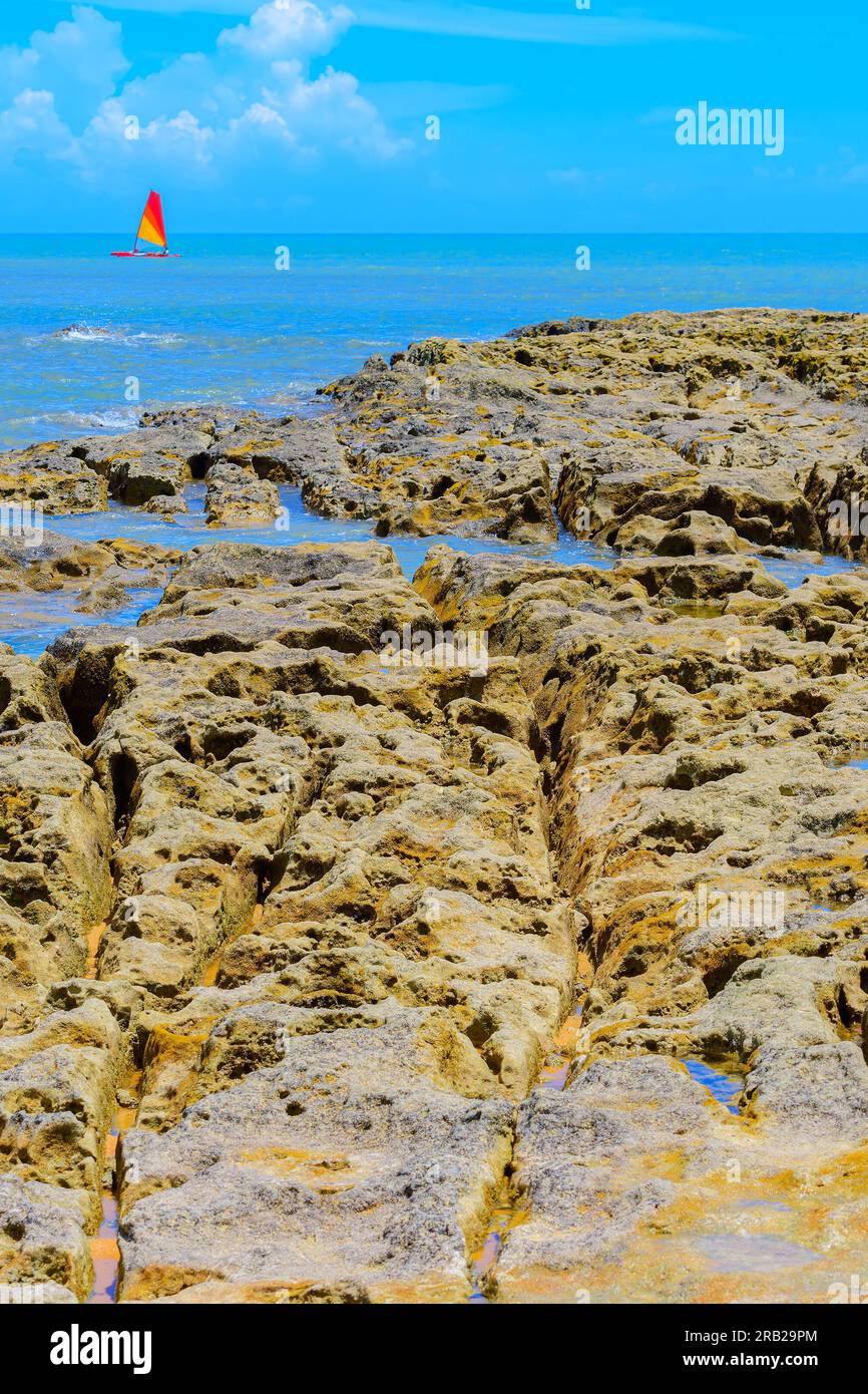 Beautiful view of the reef rocks of Espelho Beach in the middle of the ...