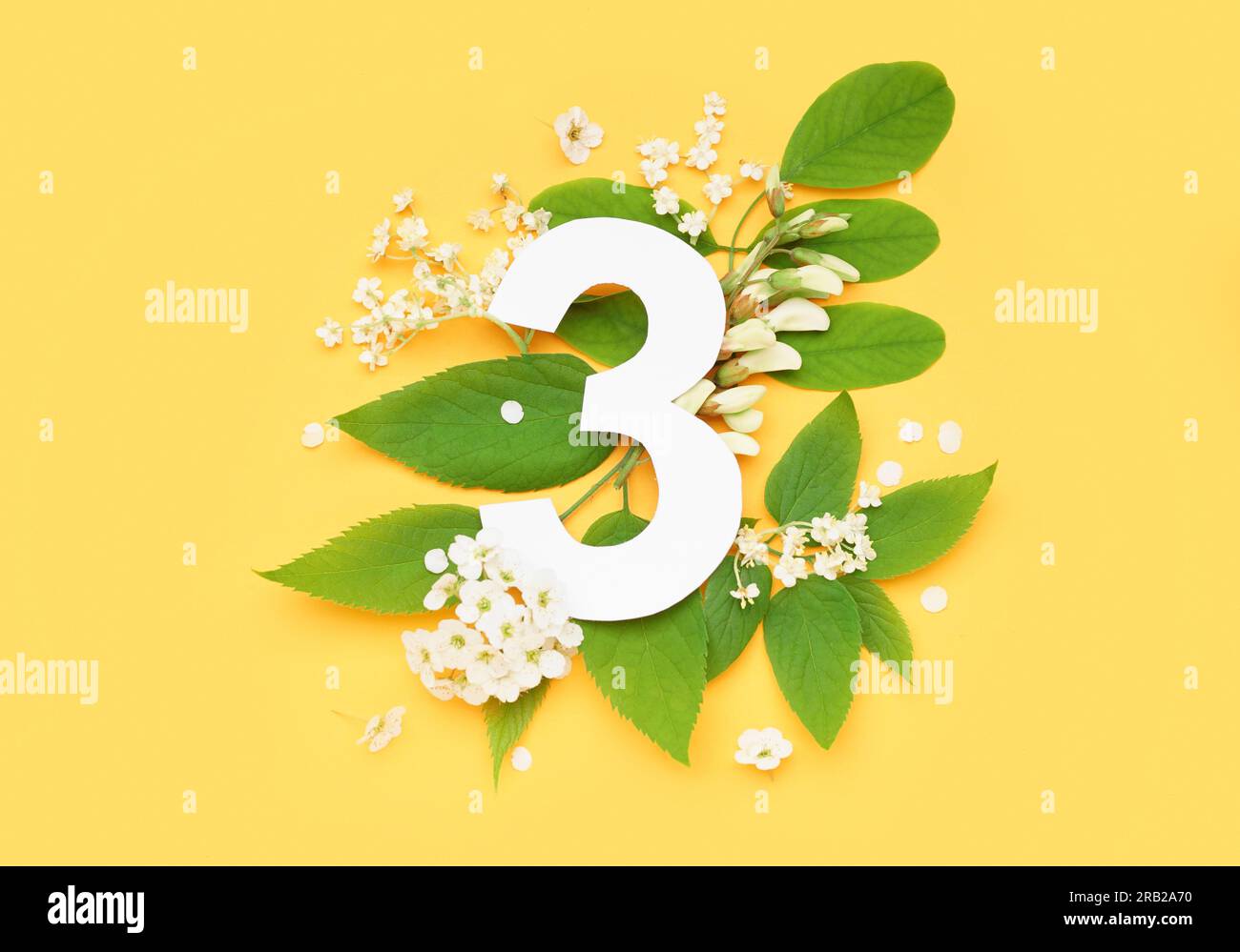 Green leaves and flowers with paper number three on yellow background ...
