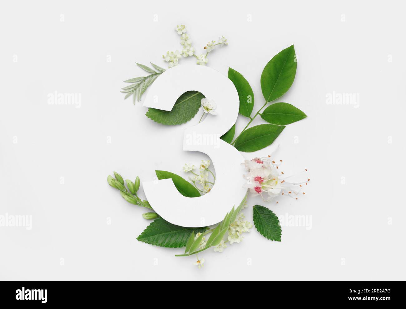 Green leaves and flowers with paper number three on white background ...