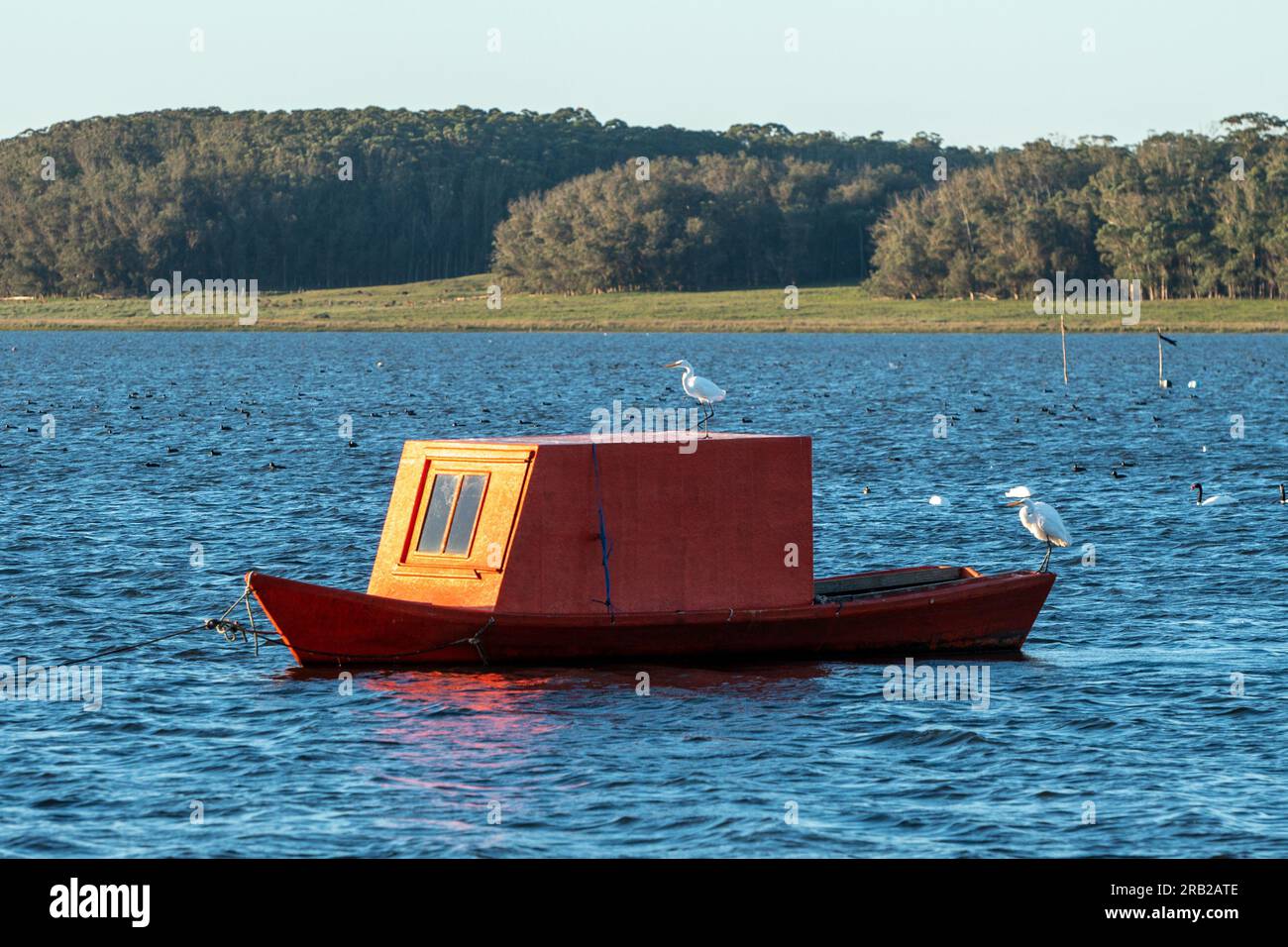 Laguna de Rocha, Uruguay : 2023 May 29 : Fishing boat in the Laguna de ...