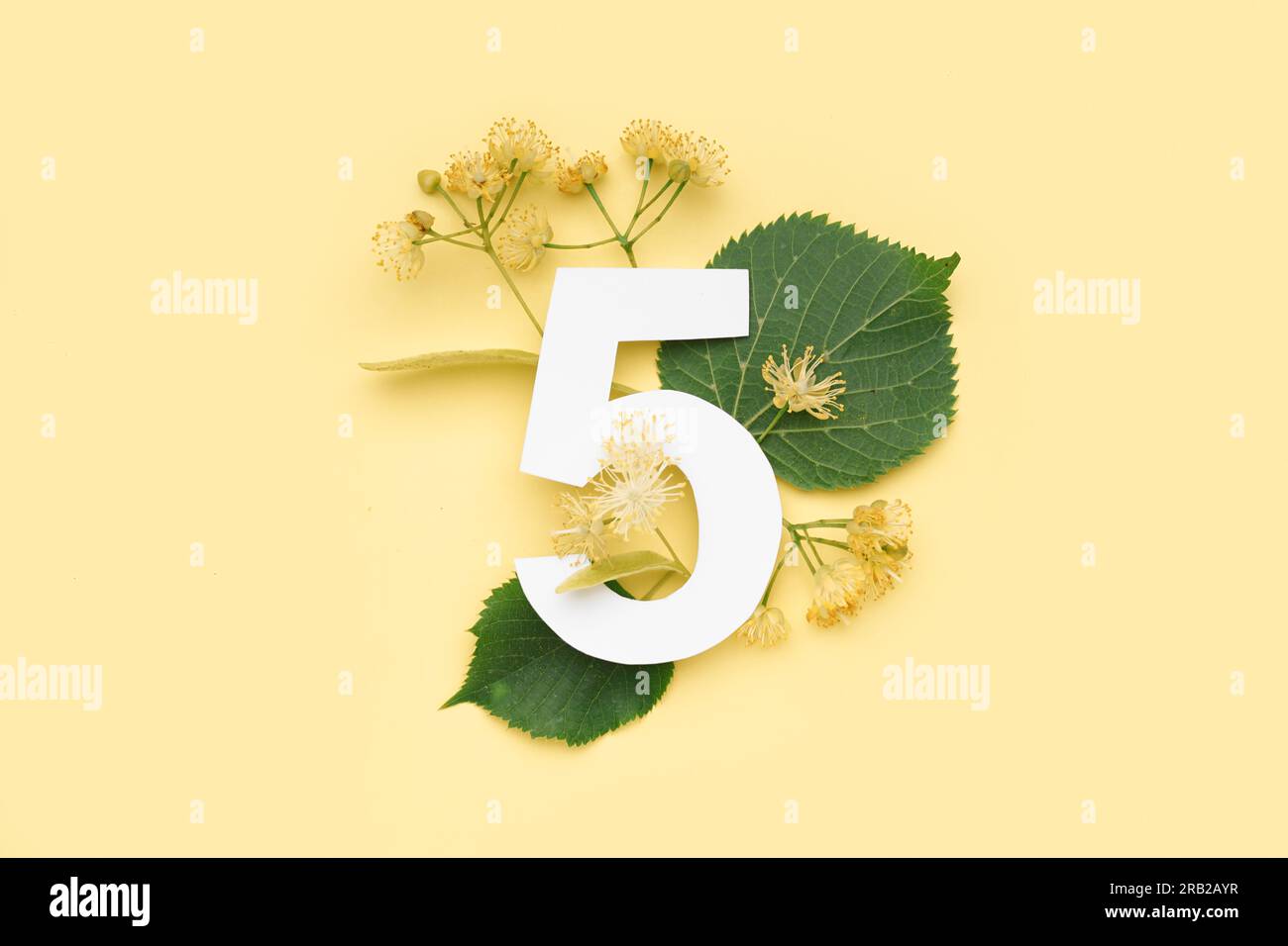 Linden green leaves and flowers with paper number five on yellow ...