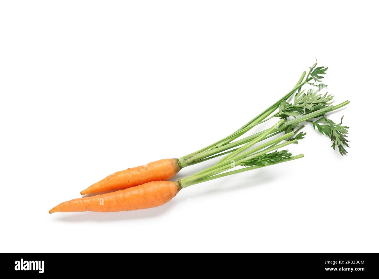 Fresh carrots with green tops isolated on white background Stock Photo ...