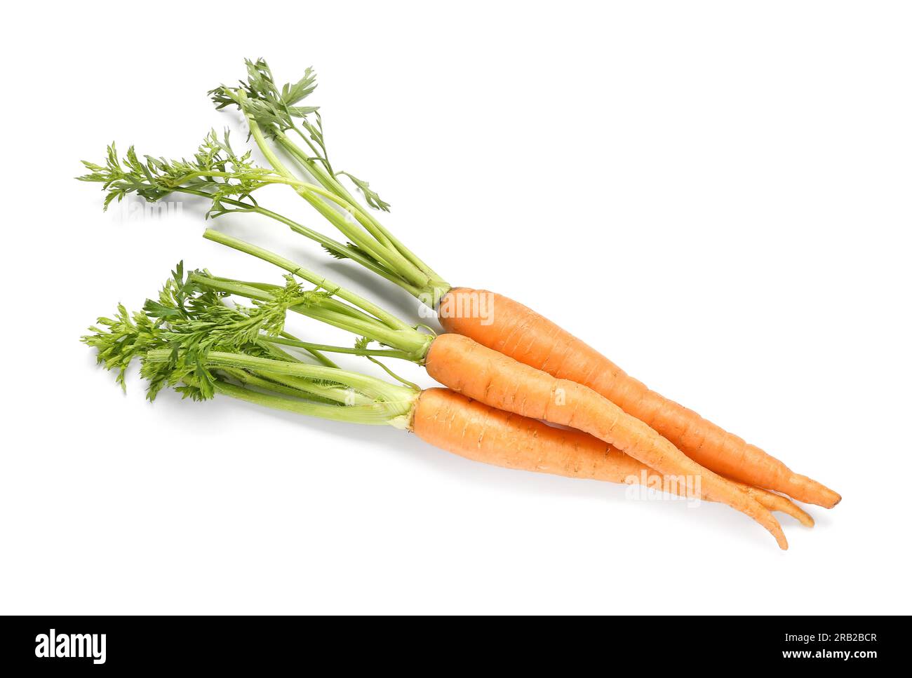 Fresh carrots with green tops isolated on white background Stock Photo ...