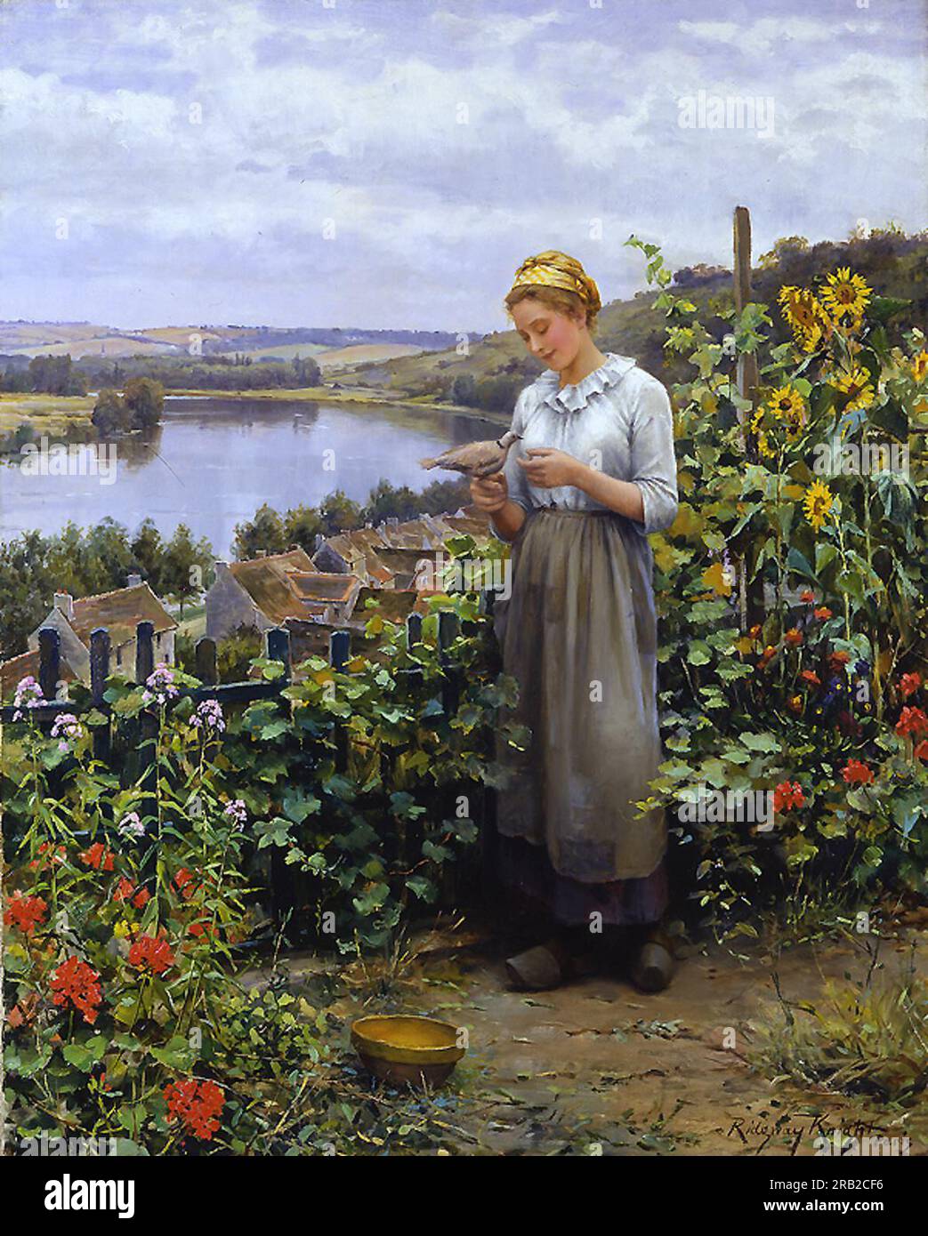 1895 knight hi-res stock photography and images - Alamy