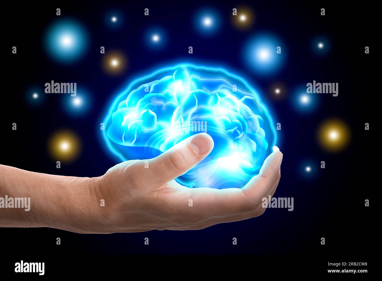 Hand holding human brain organ hi-res stock photography and images - Alamy