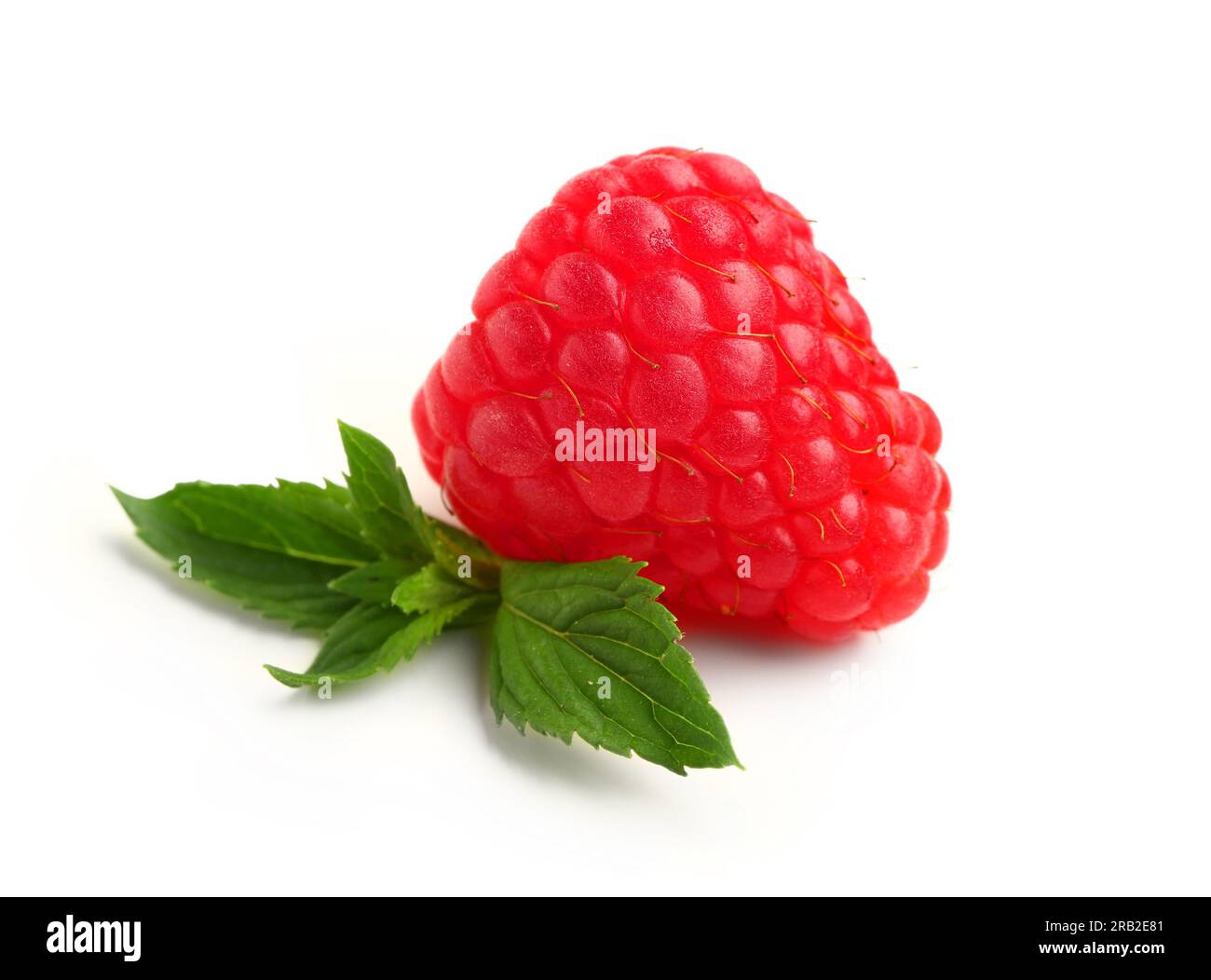 Fresh raspberry and mint on white background Stock Photo - Alamy