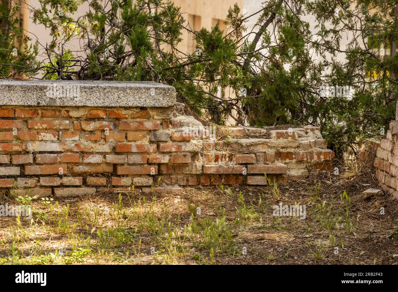 A crumbling brick wall in a corner of a park under leafy pine trees ...