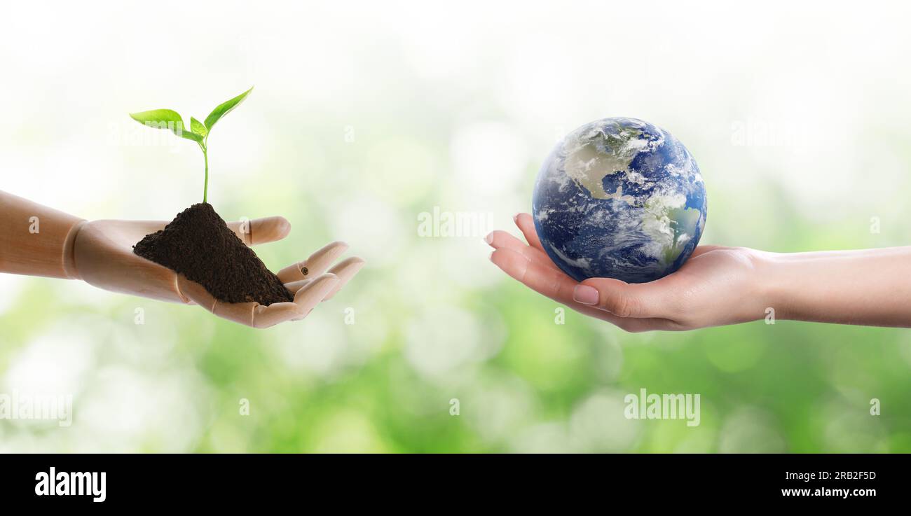 Make Earth green. Woman holding globe, soil with seedling in wooden ...