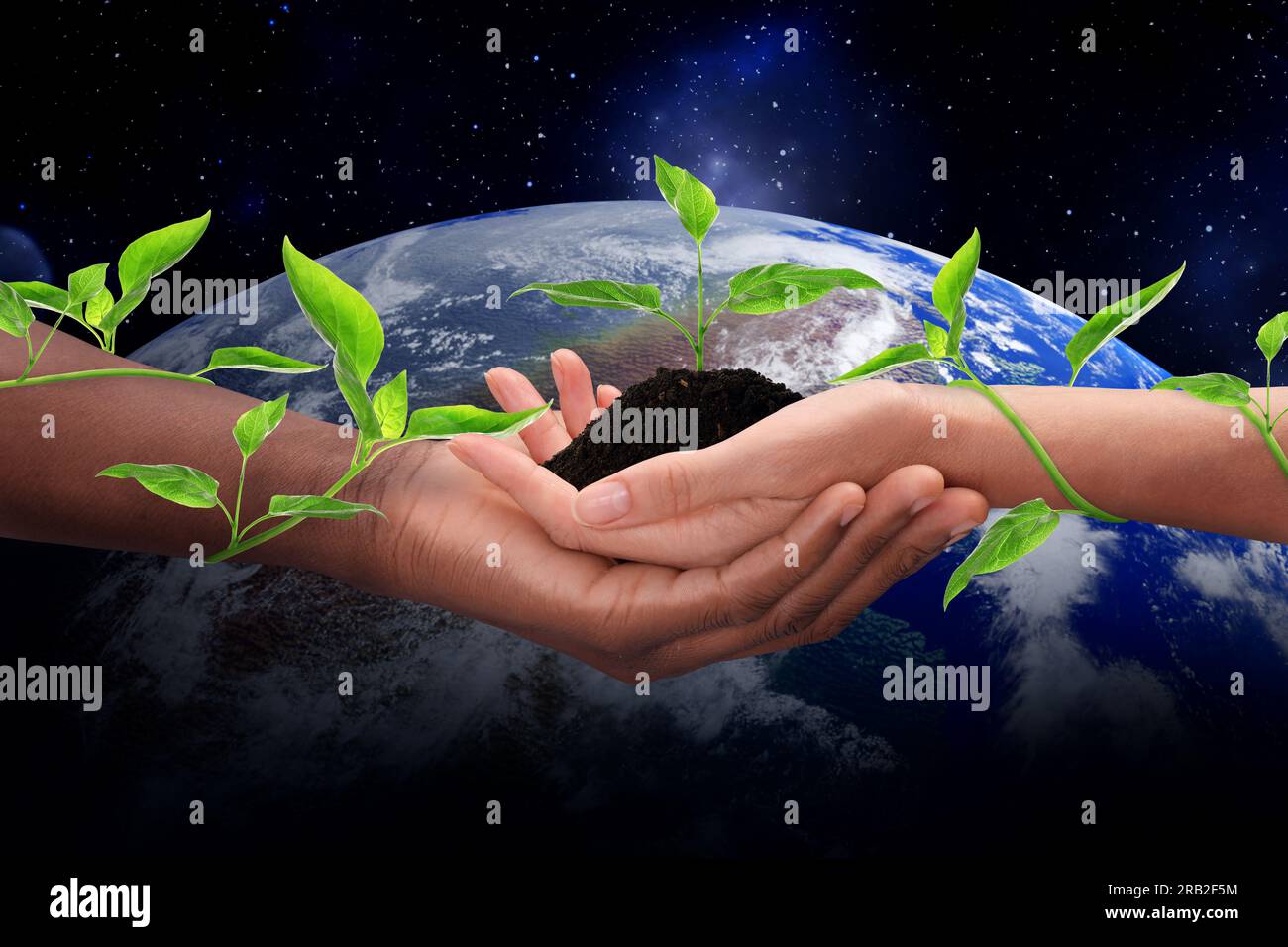 Make Earth green. Man and woman holding soil with seedling, closeup ...