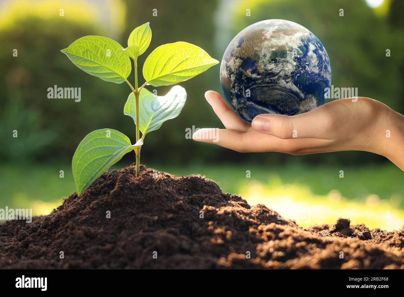 Make Earth green. Woman holding globe near seedling outdoors, closeup ...