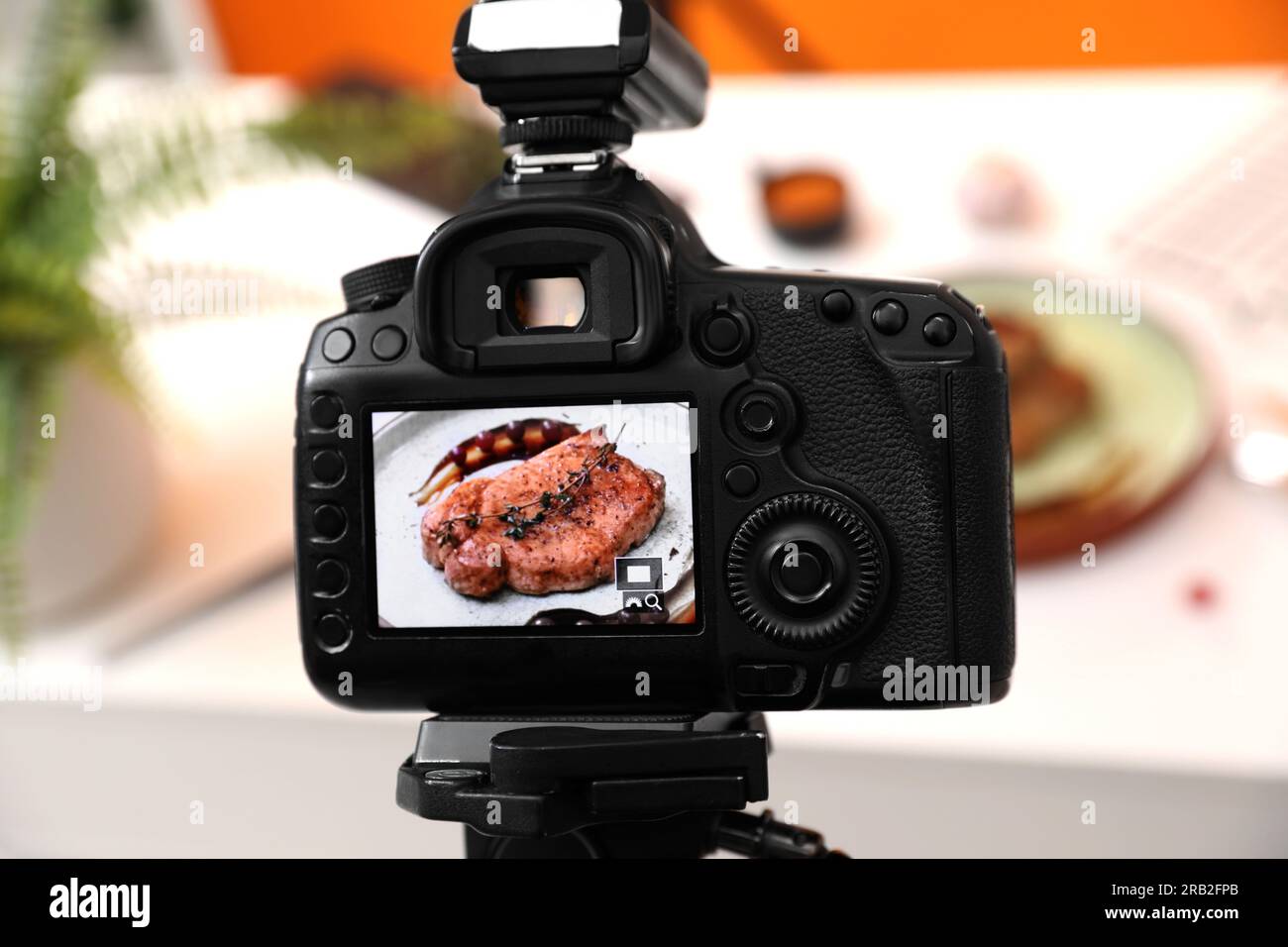 Professional camera with picture of meat medallion on display in photo ...