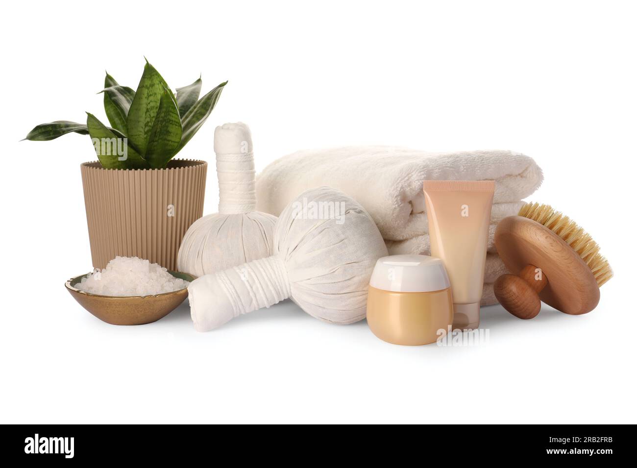 Beautiful spa composition with different care products and potted plant ...