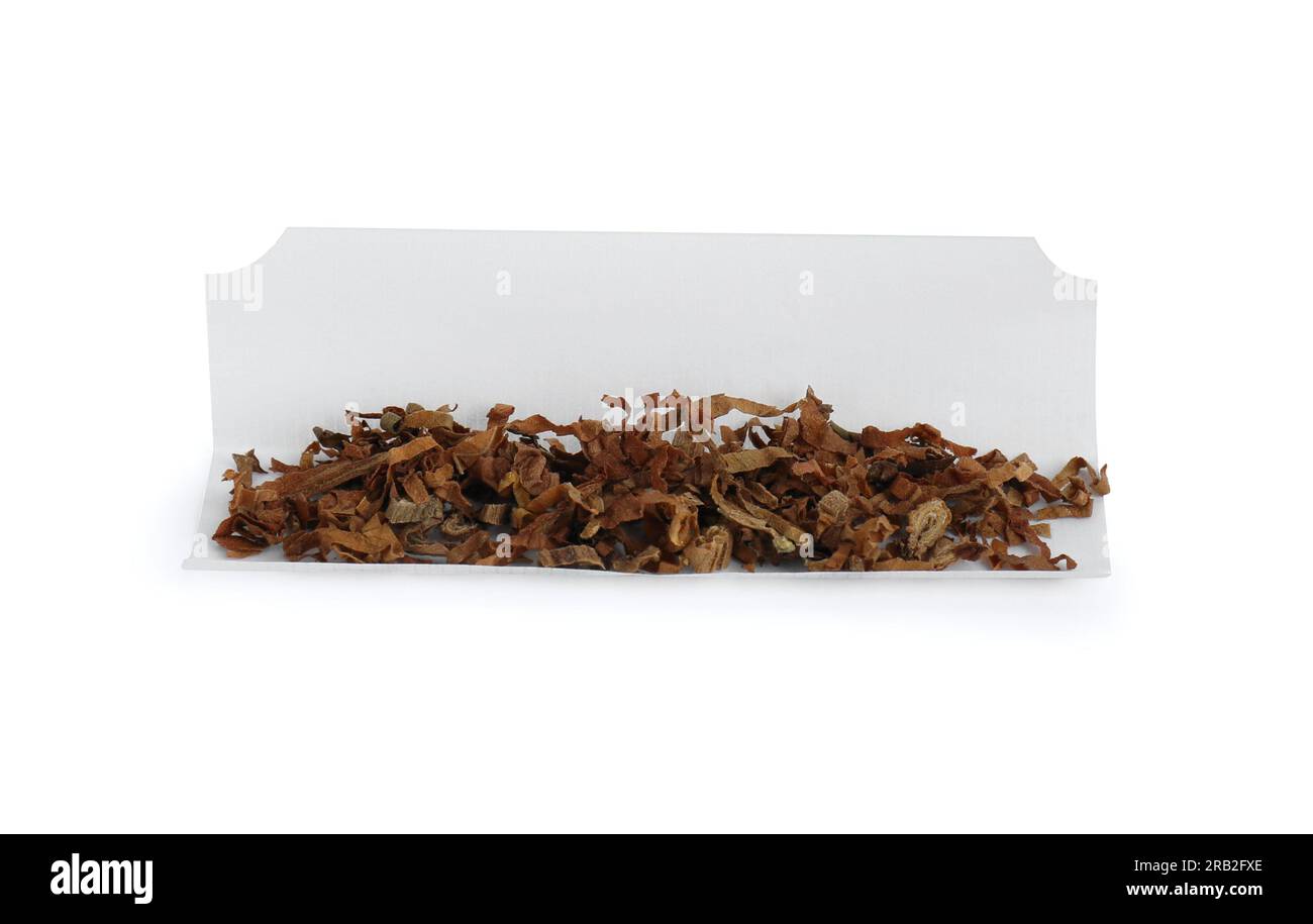 Making hand rolled cigarette. Paper with tobacco isolated on white ...