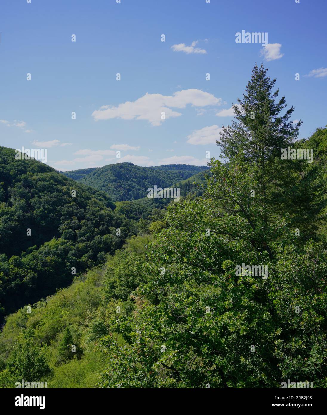 Wilderness Landscape of the German region called the Eifel. Near Cochem ...