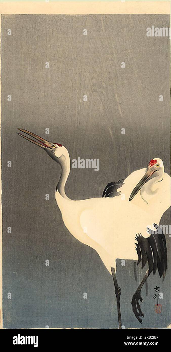 Two white cranes hi-res stock photography and images - Alamy