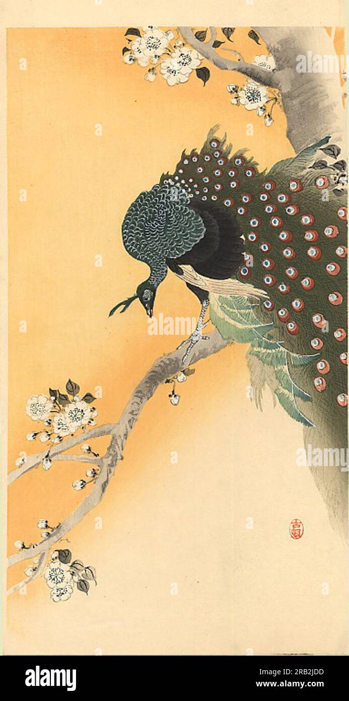 Ohara koson peacock hi-res stock photography and images - Alamy