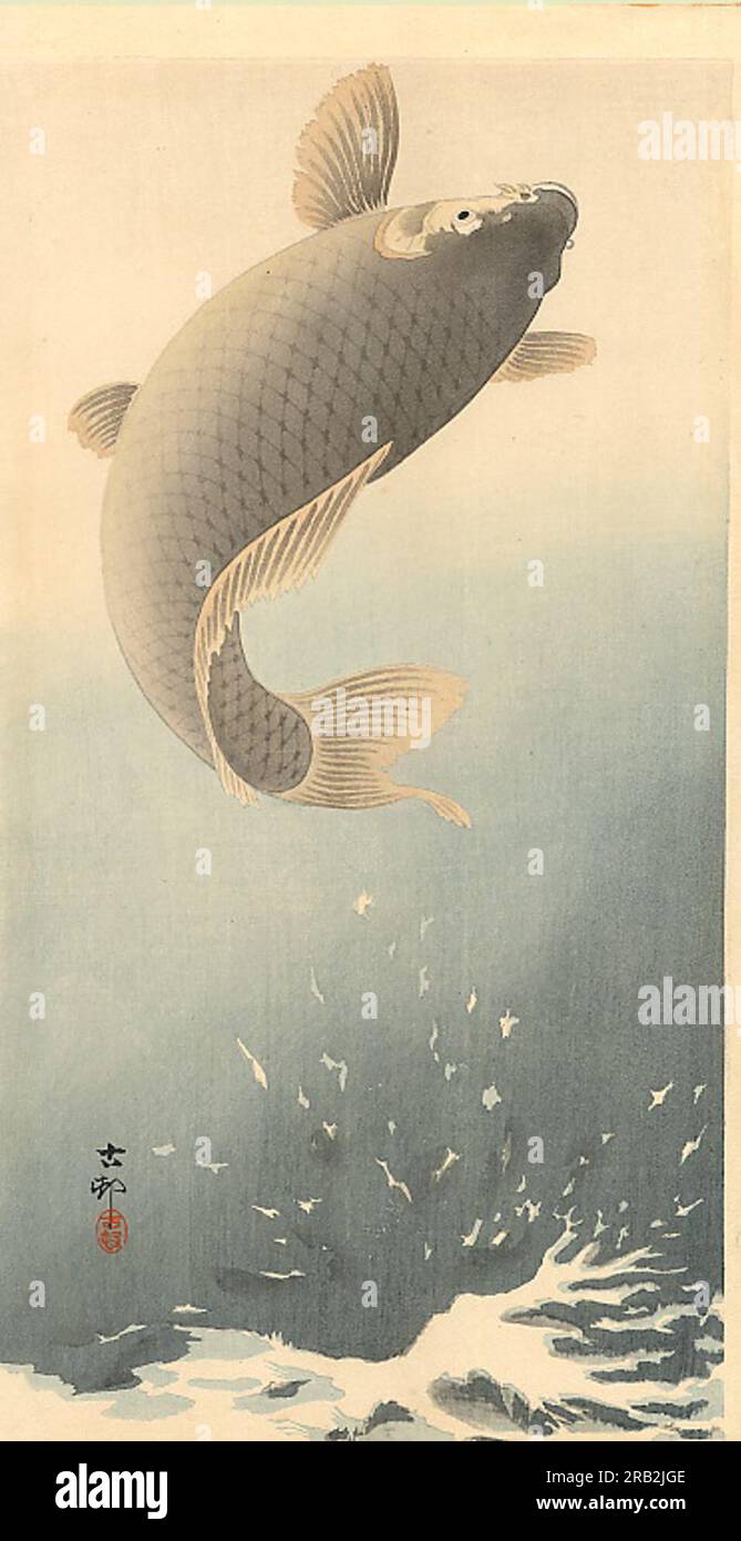 Carp leaping hi-res stock photography and images - Alamy