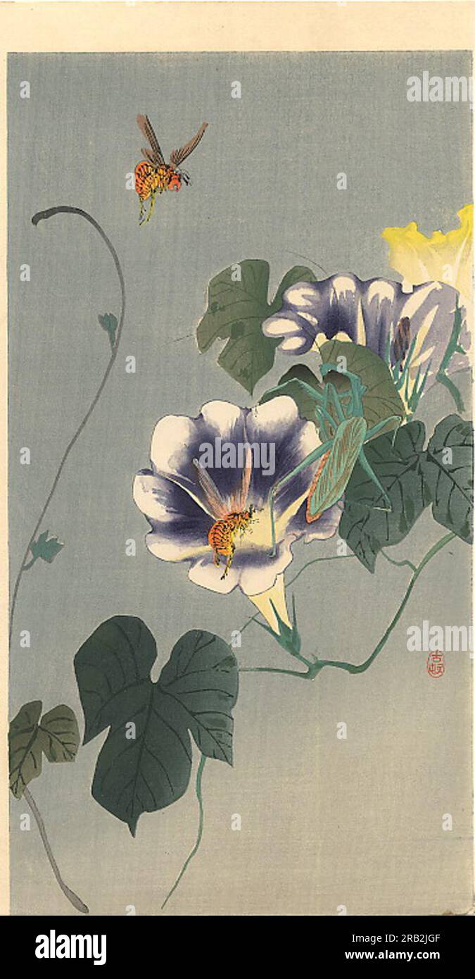Wasps and Praying Mantis by Ohara Koson Stock Photo - Alamy