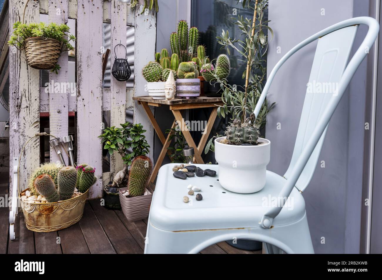Corner of a Terrace with blue metal chair and lots of blooming ...