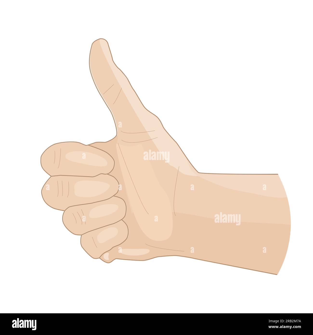 Thumb up hand gesture isolated on white background. Hand thumb up ...