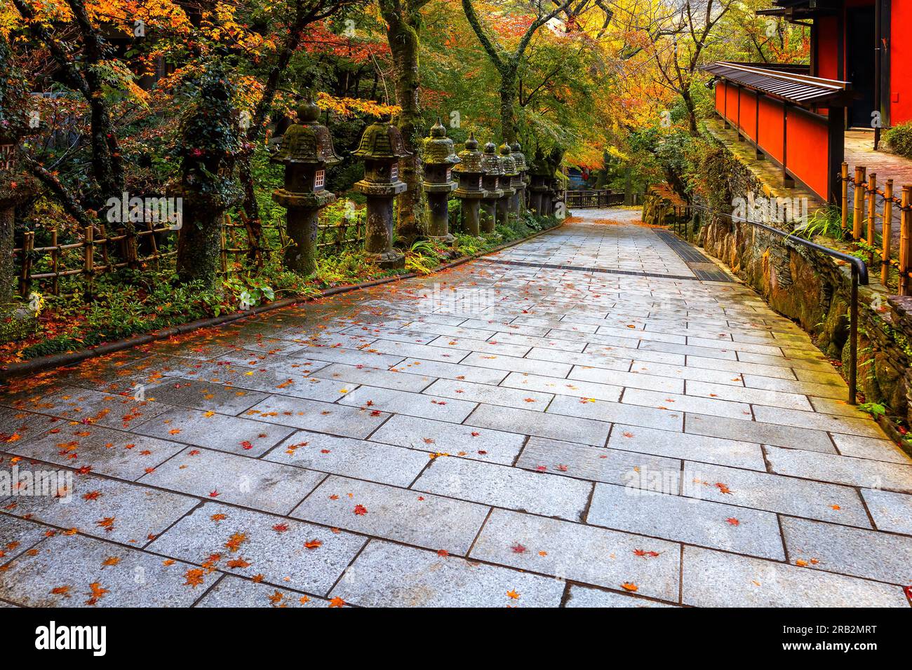 Fukuoka, Japan - Nov 21 2022: Nanzoin Temple in Fukuoka is home to a ...