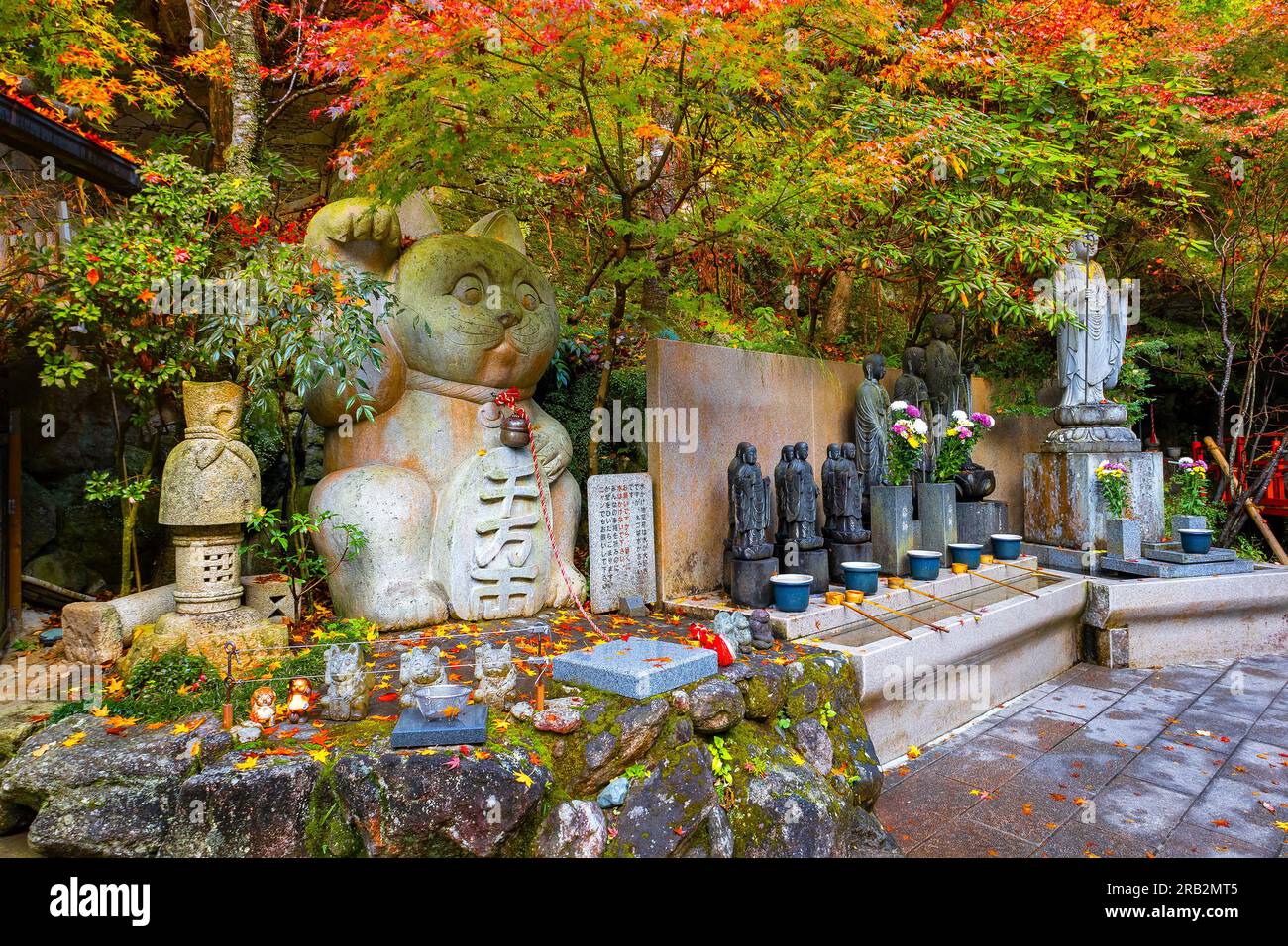Fukuoka, Japan - Nov 21 2022: Nanzoin Temple in Fukuoka is home to a ...