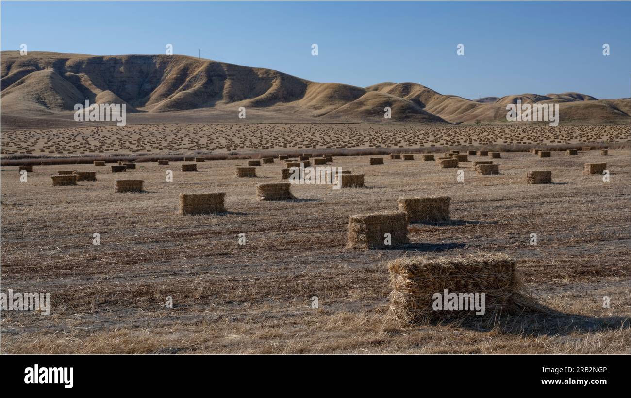 Three wire hay bales hi-res stock photography and images - Alamy