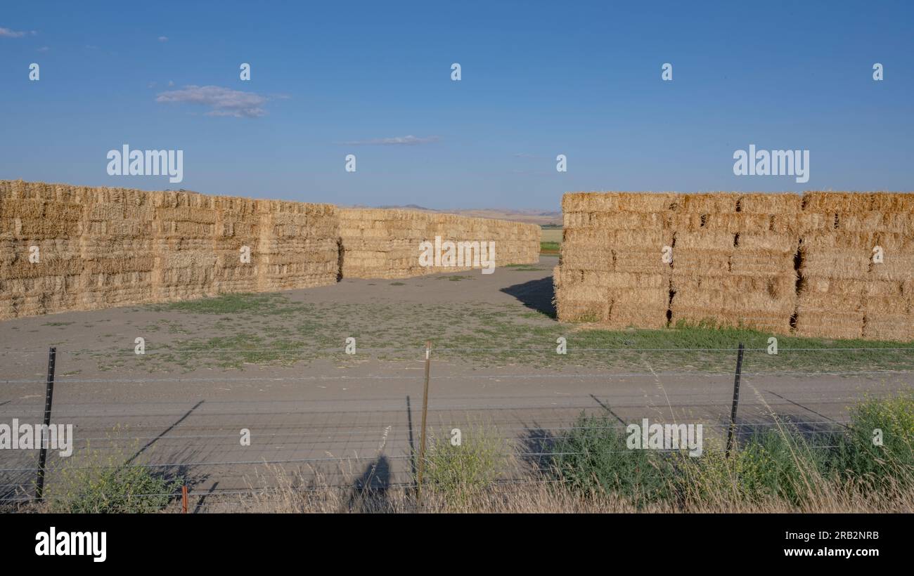 Three tie hay bales stacked for cattle feed near little Cholame creek ...