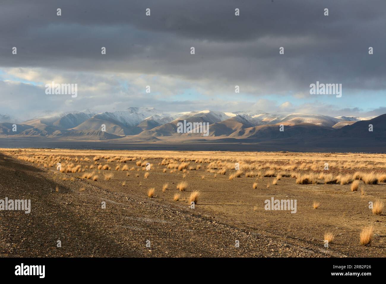 Boundless steppe hi-res stock photography and images - Alamy