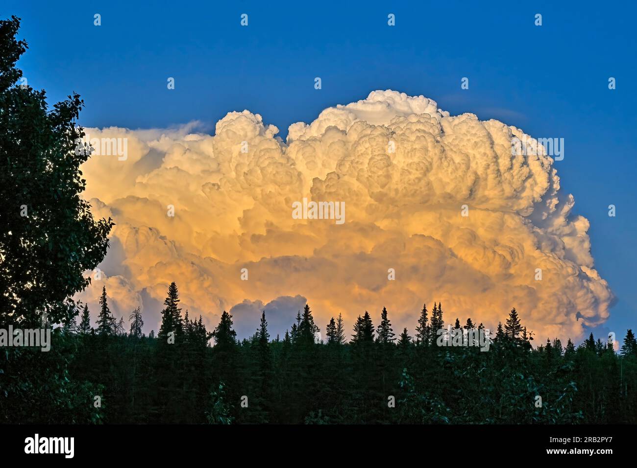 A large puffy white thunder cloud in evening light over rural Alberta ...